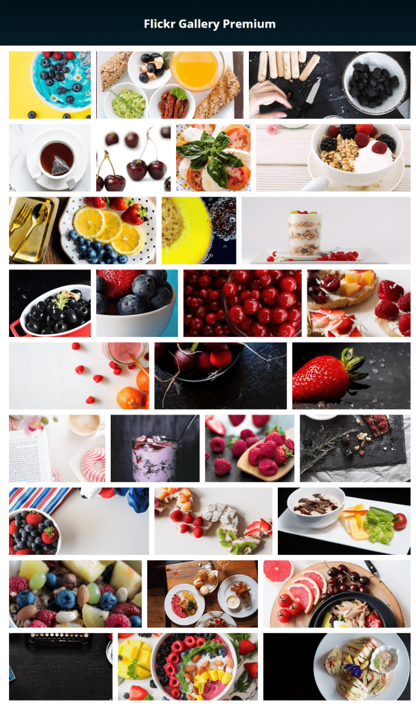 Flickr Gallery Premium - A WP Life Docs