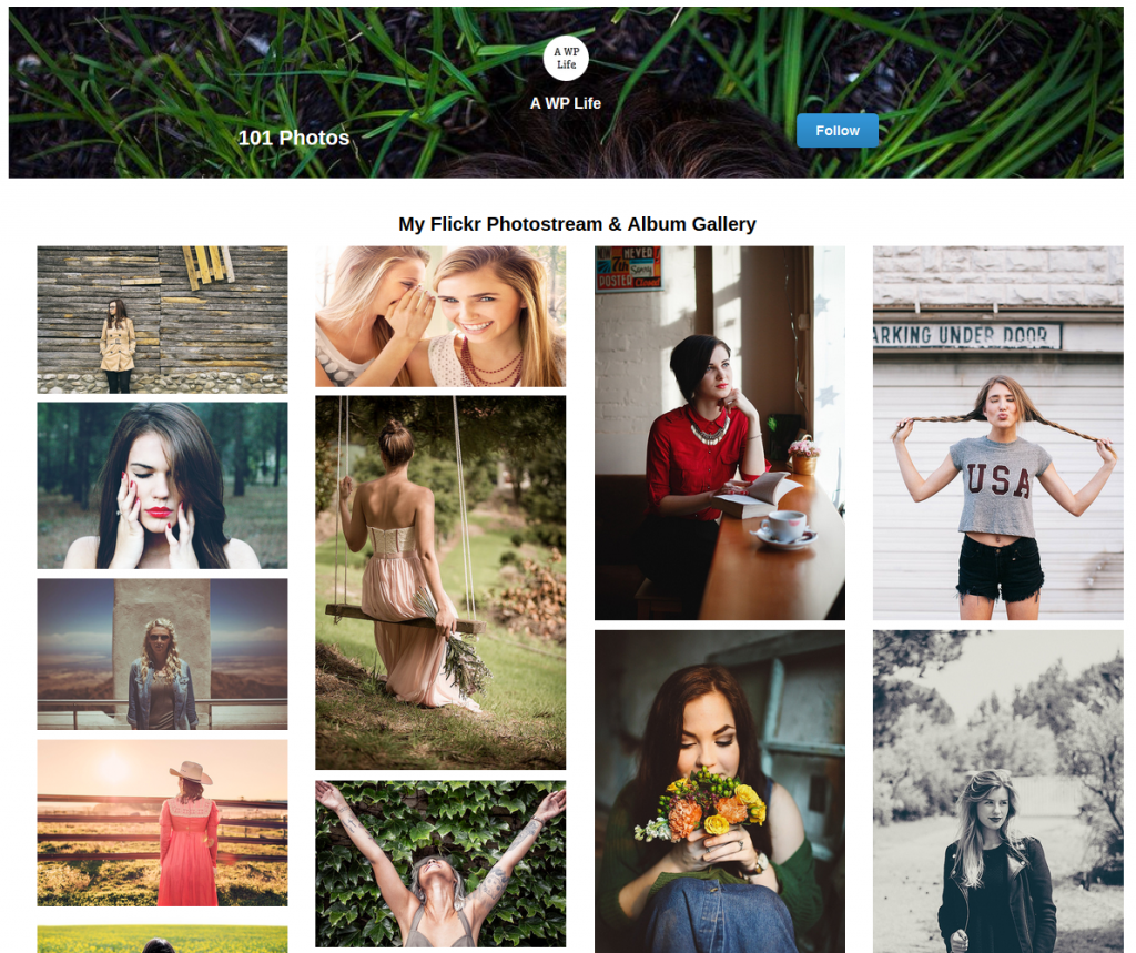 Flickr Gallery Premium – A WP Life Docs