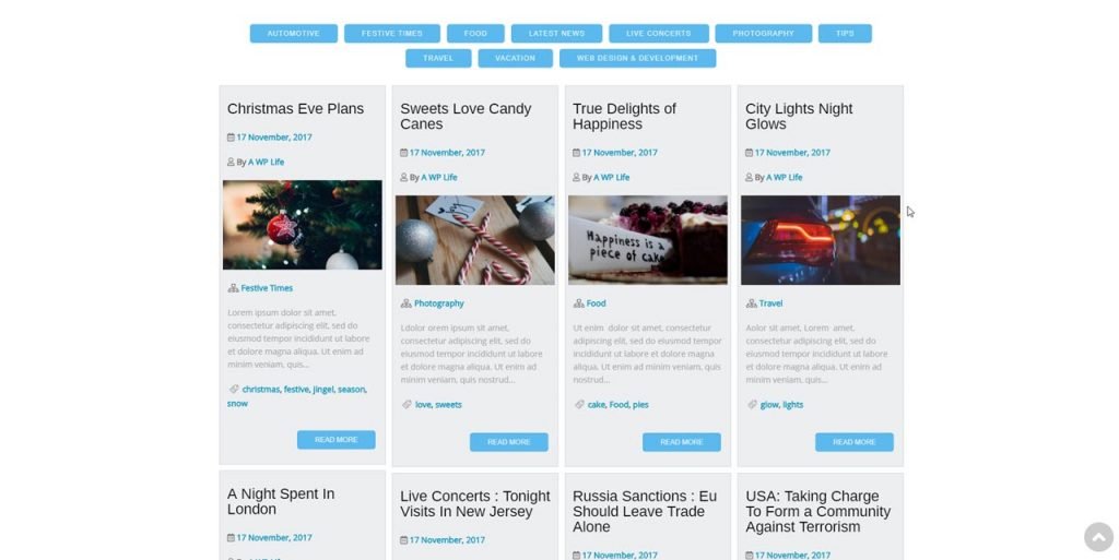 Help and Documentation for Blog Filter Premium WordPress Plugin