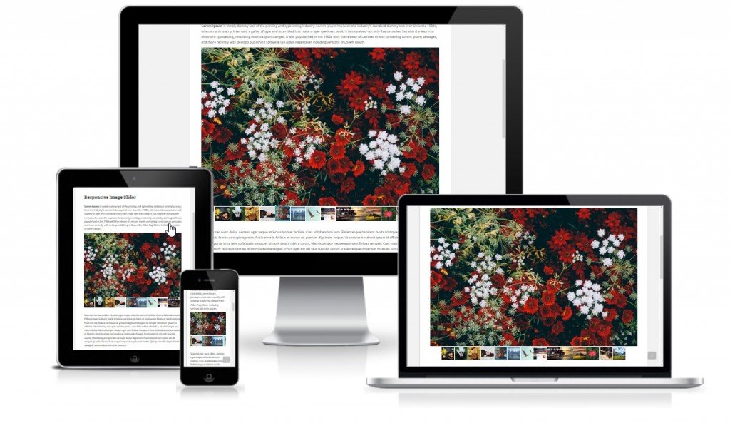 How To Create Responsive Slider Gallery In WordPress?