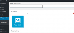 How To Create Responsive Slider Gallery In WordPress?