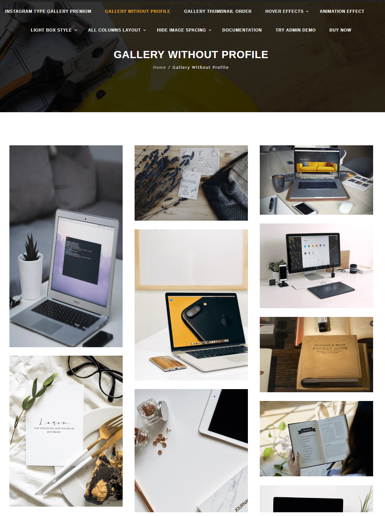 instagram Type Gallery WordPress Plugin - A WP Life Plugins & Themes